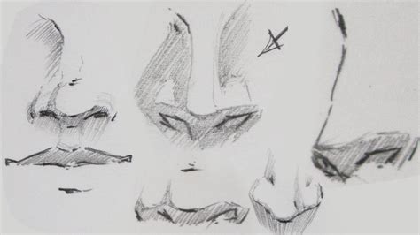 How To Draw Anime Noses Rowwhole3