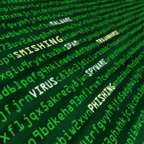 The Basics Cyber Security 101