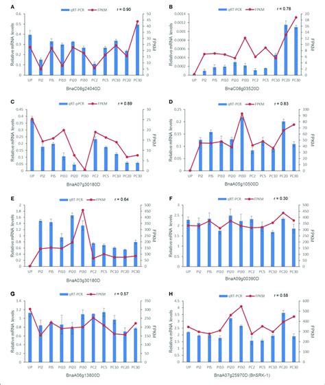 Validation Of Eight Randomly Selected Genes By Qrt Pcr A One Of