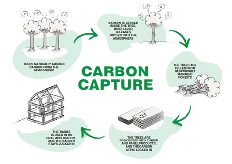 11 Benefits Of Using Sustainable Timber In Construction