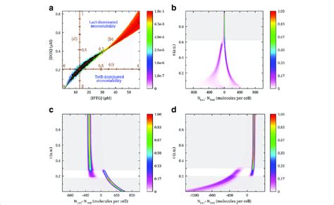 Stochastic Simulations Along Three Trajectories In Inducer