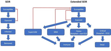 Left Classic Seir Model Right Extended Seir Model Used In This