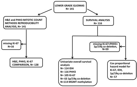 Diagram Illustrating Analysis Strategy And Number Of Patients Included