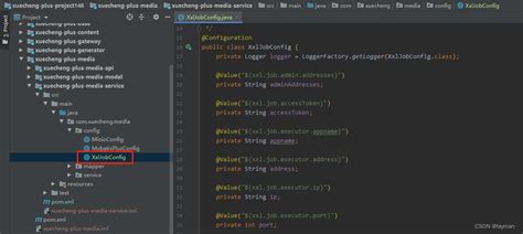 Springboot集成xxl Jobspringboot集成xxjoblayman·的博客 Csdn博客