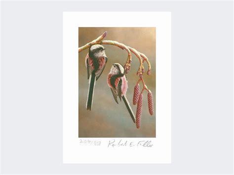 Long Tailed Tits On Catkins Limited Edition Art Print Robertefuller