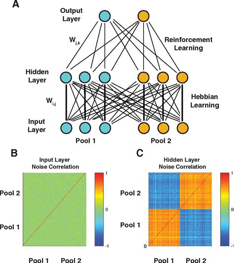 Noise Correlations For Faster And More Robust Learning Journal Of Neuroscience