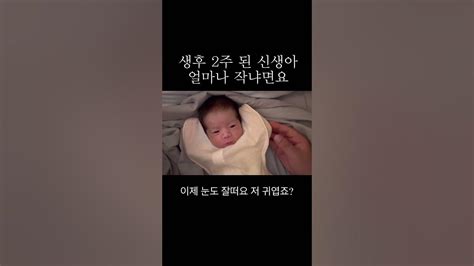 조리원에서 집에 처음 온 아기 Youtube