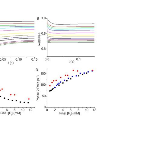Computer Simulations Of A Chemical Relaxation Following Both A Rapid