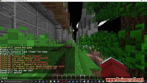 Simple Tpa Plugin 1minecraft