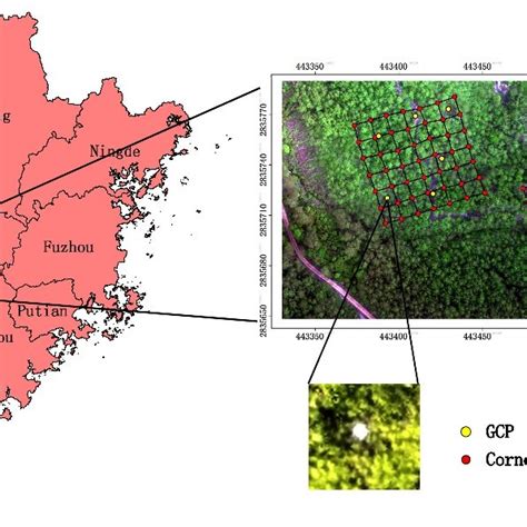 Distribution Of Sample Plots Download Scientific Diagram