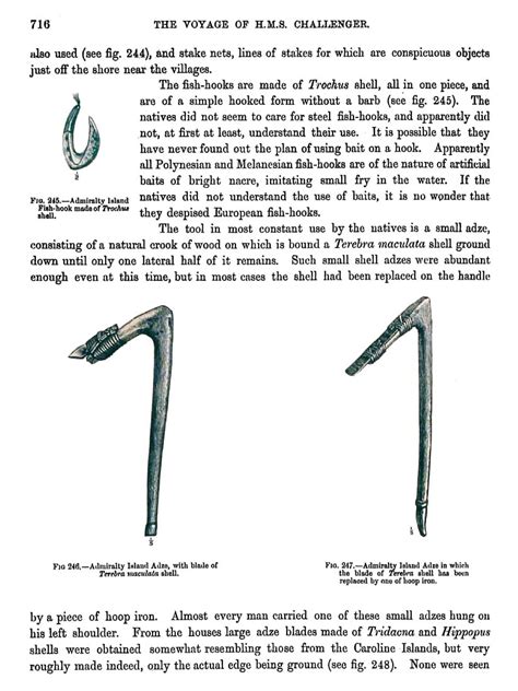 page 716