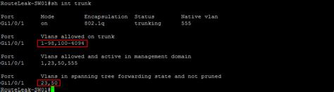 Routeleaktrunk Links Routeleak