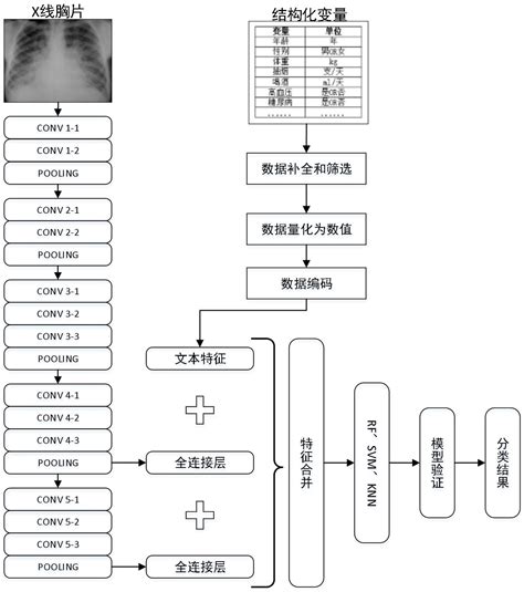 一种电子病历结构化数据与x线胸片融合的心衰分类方法