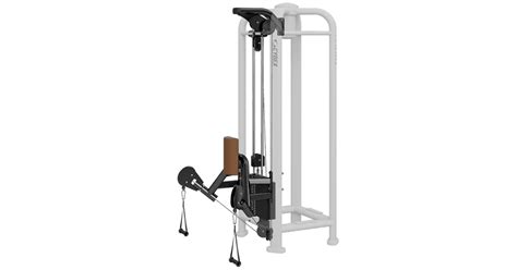 Cybex Dual Pulley Low Life Fitness