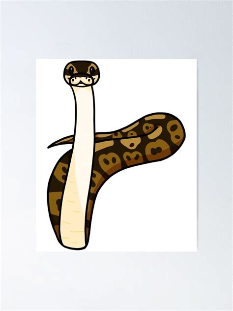 Ball Python Scoping Poster For Sale By Heckingoodvinyl Redbubble