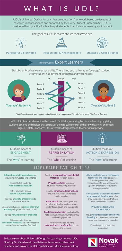 What Is UDL Infographic Novak Educational Consulting