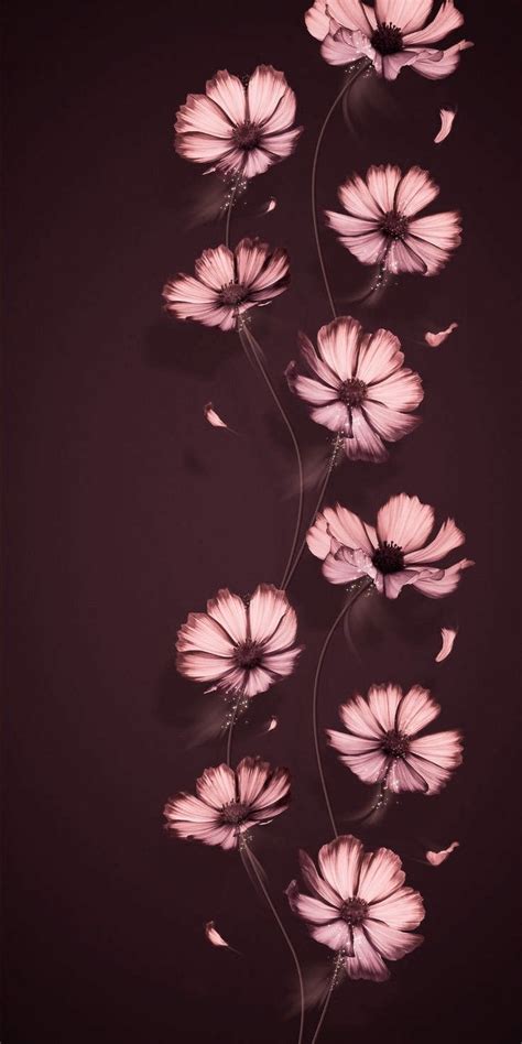 Floral Boder Wallpaper Phone Cover Amazing Colour Flower Cute