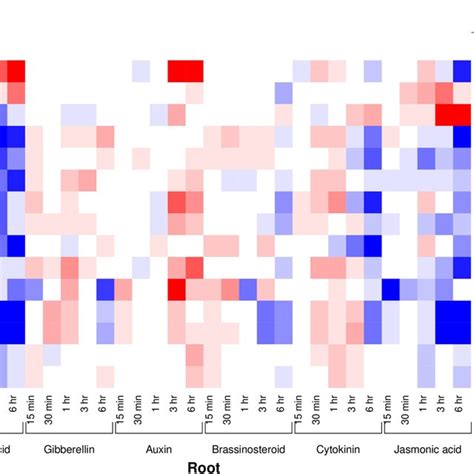 Heatmap Representing The Spatio Temporal Expression Profiling Of