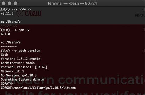 how to set up your ethereum development environment for macos