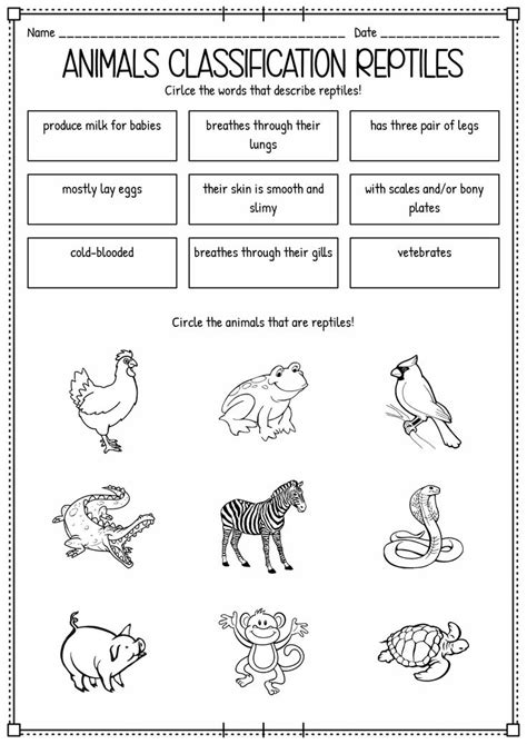 15 Classifying Animals Worksheets Preschool Classifying Animals