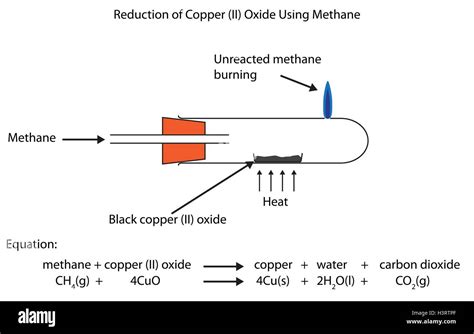 Draw A Labelled Diagram Showing The Oxidation Of Heated Copper Powder Porn Sex Picture