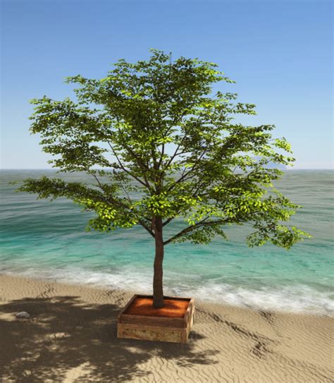 Acer Negundo Radioactive Gaming