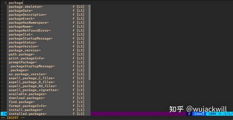 Windows系统下neovim的安装和简易配置 知乎