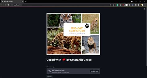 Smaranjitghose Big Cat Classifier · Hugging Face