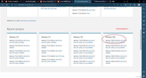 Selenium自动化环境搭建篇）selenium环境搭建 Csdn博客
