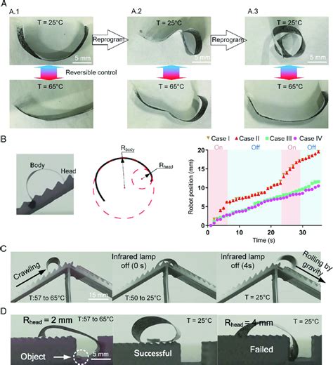 Reprogrammability Of Bilayer Soft Robot A Reprogramming Of Soft Robot