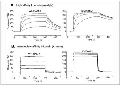Affinity Measurements Using Spr Download Scientific Diagram