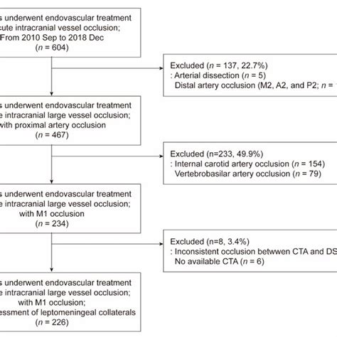 Patients Selection Flow Chart Dsa Digital Subtraction Angiography