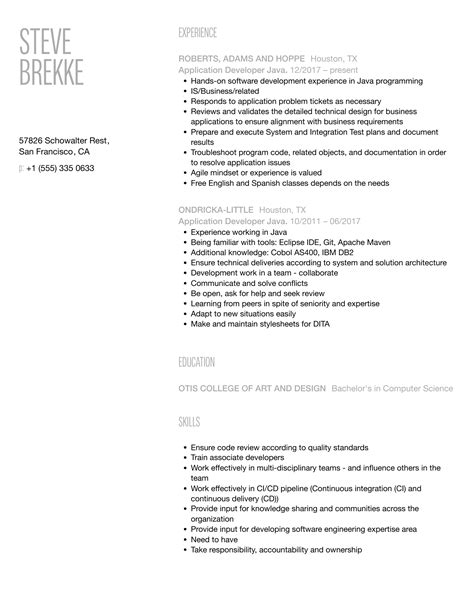 Application Developer Java Resume Samples Velvet Jobs