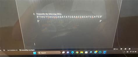 Solved Transcribe The Following Dna 3