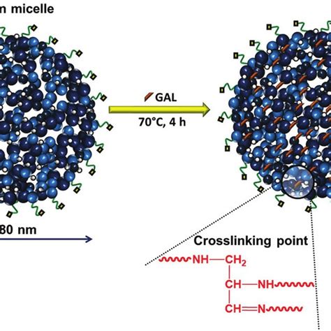 Interaction Potential Between Casein Micelles With R 100 Nm For Ph