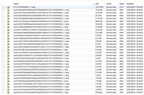 Magento 2 4 3 Media Catalog Product Cache Growing Very Hard Each File With Many Different