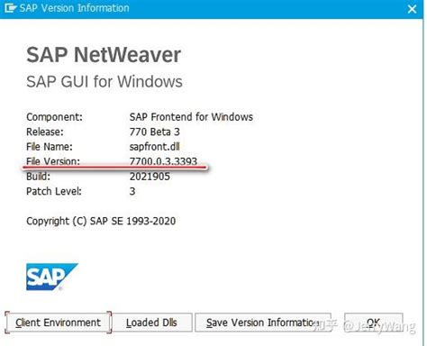 一个 15 年 Sap Abap 开发人员分享的 Sapgui 一些个性化设置和实用小技巧试读版 知乎