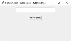 How To Focus Entry Widget In Tkinter Python