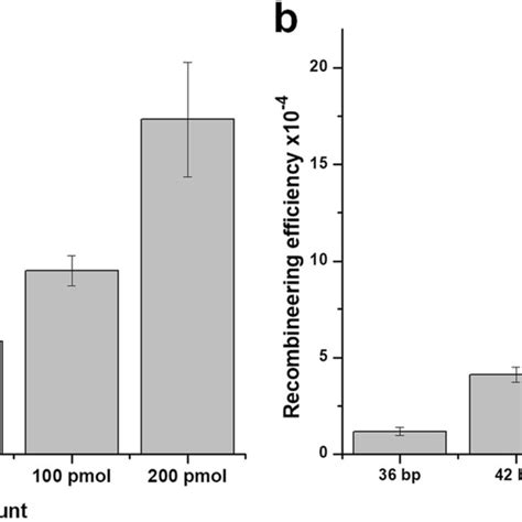 Optimization Of Amount And Length Of The Ssdna Used In Ssdna