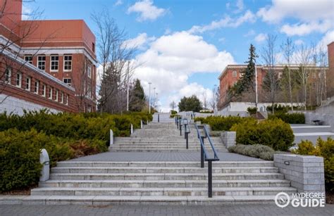 10 Best Online Environmental Science Degree Programs [2025 Guide]