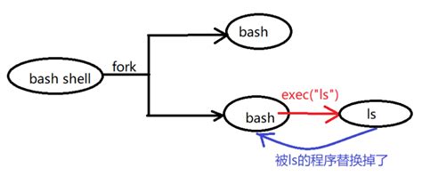 Linux进程控制四exec函数族进程替换详解 腾讯云开发者社区 腾讯云