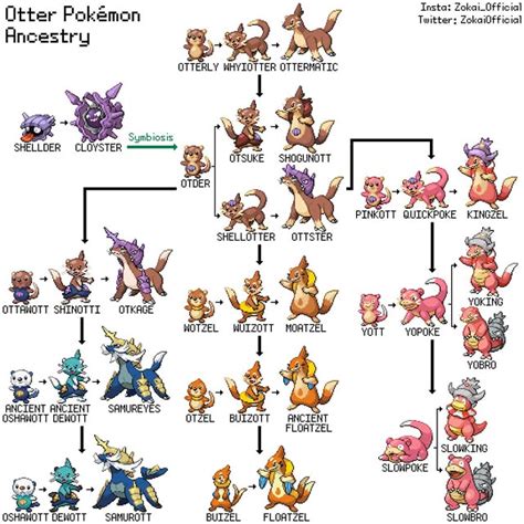 Dewott Evolution Chart Dewott Evolution Chart