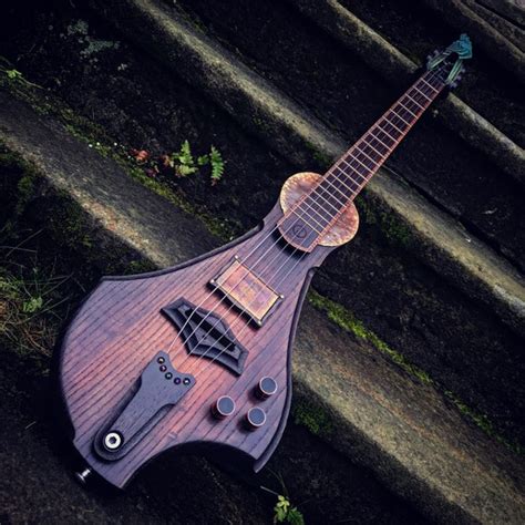 String Instruments Electric Guitar