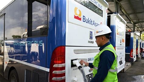 Ptba Operasionalkan 15 Unit Bus Listrik Di Sumsel Dan Lampung Katandaid