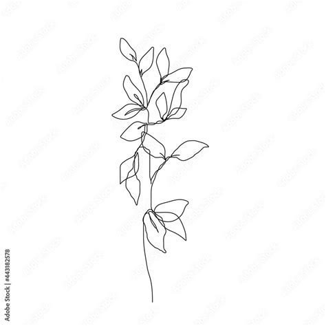 Continuous Line Drawing Of Leaves Branch Black Sketch Isolated On White