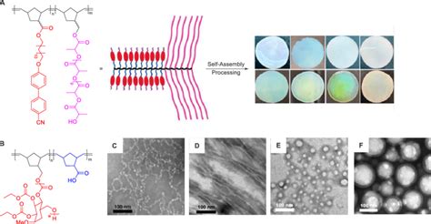 A Chemical Structure Of Linear Block Bottlebrush Bcp Showing The Download Scientific Diagram