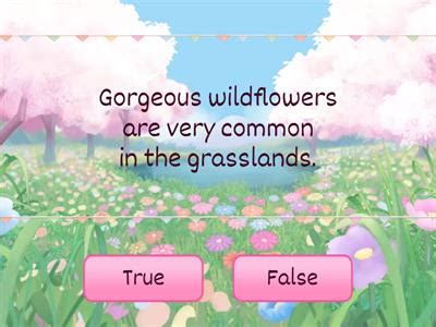 True And False Equations Teaching Resources