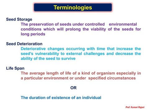 Classification Of Seeds Pdf