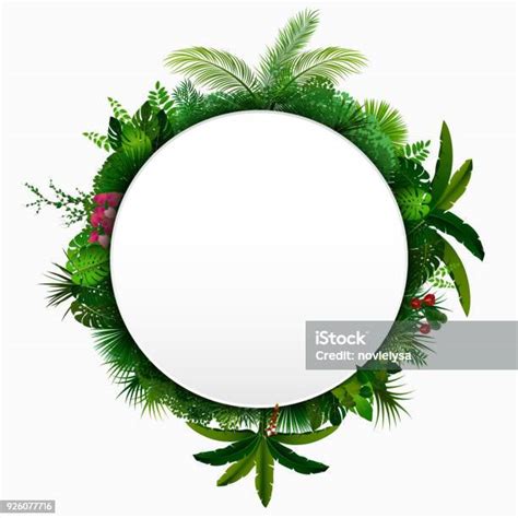 열 대 잎 배경입니다 둥근 열 대 배너 텍스트 위한 공간입니다 흰색 바탕에 절연 열 대 경 엽 0명에 대한 스톡 벡터 아트 및