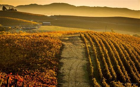 Beautiful Scenery Near Napa Valley California